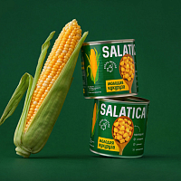 Консервированные овощи Salatica — разработка дизайна упаковки.